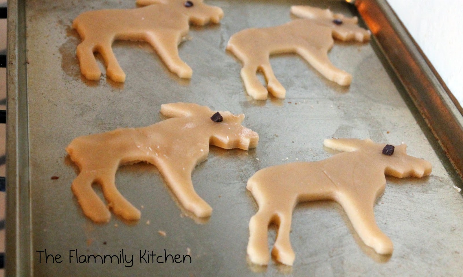 Moose Sugar Cookies