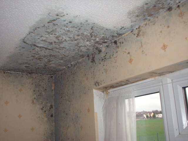 Surveying Property: Damp in Buildings – Part 1 – Condensation – How it ...