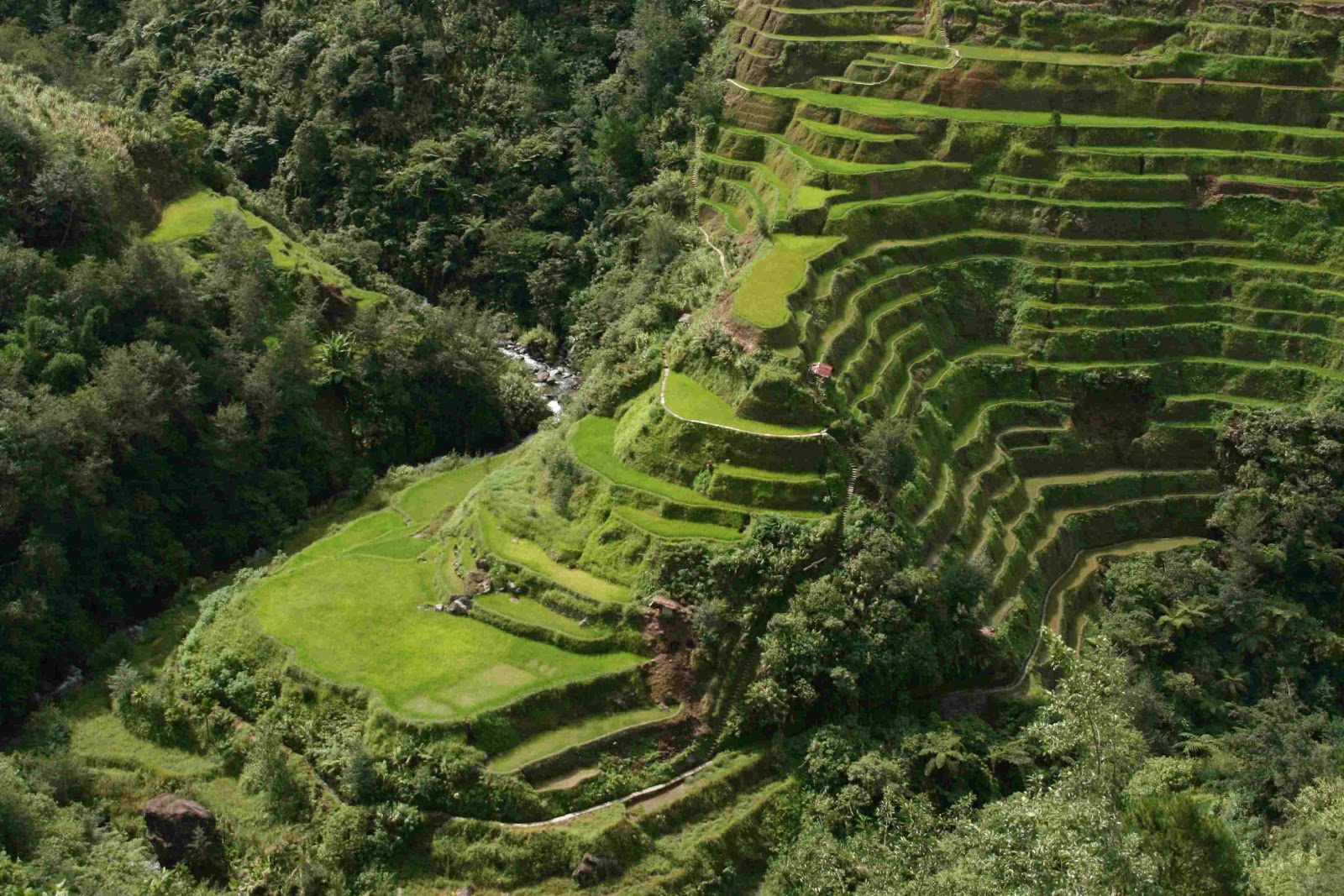 World Beautifull Places: The rice terrace fields of Banaue Philippines