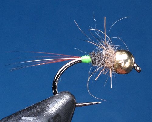 Grayling on the Fly: French Style Nymphing with a Czech Twist