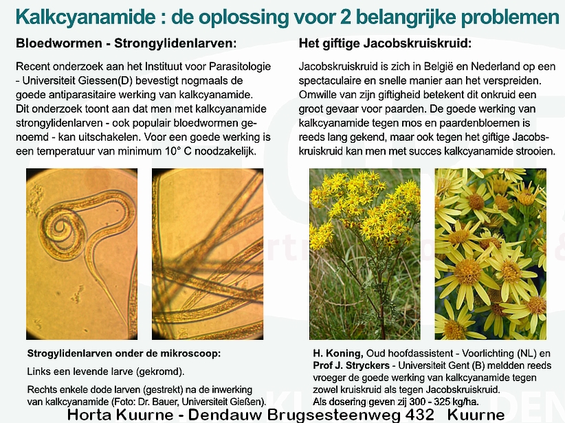 Horta Dendauw Kuurne: Kalkcyanamide: Gezonde weiden, gezonde paarden