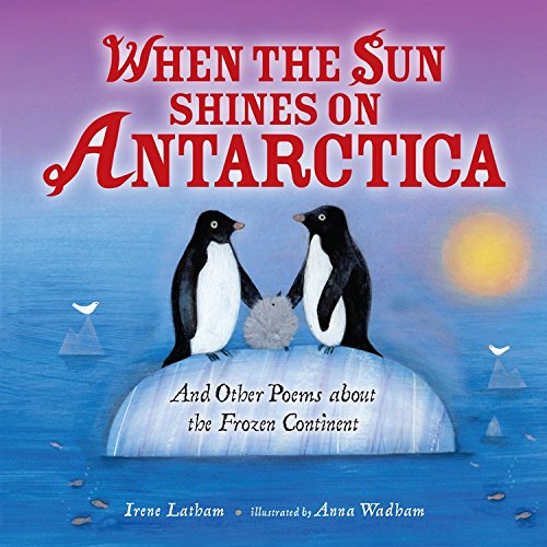 Children's Books About Antarctica - Every Star Is Different