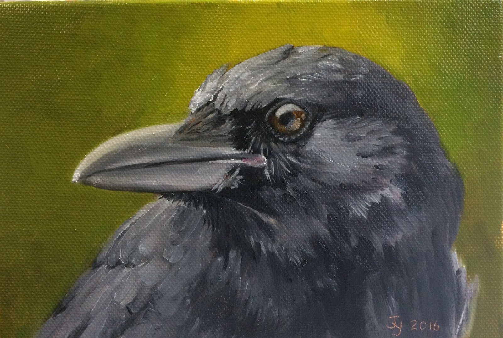 Drawing on Nature: Alala (Hawaiian crow) returns to the wild!
