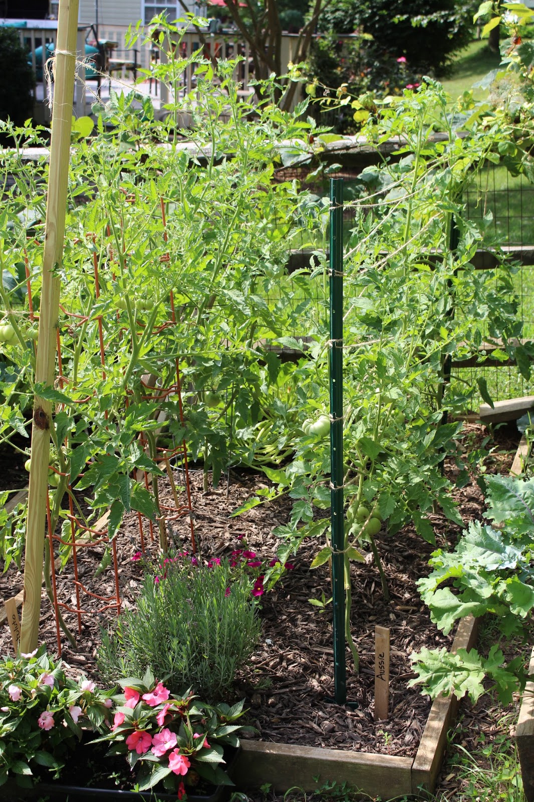 The Rusted Vegetable Garden