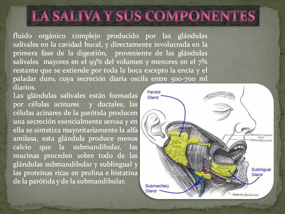 PORTAFOLIO DE EVIDENCIAS, FISIOLOGÍA BASICA JONATHAN I. JIMENEZ UAS ...