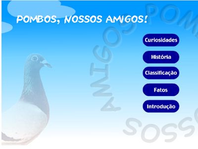 Minha Família Quatro Patas: Tudo sobre pombos