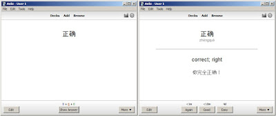 pretty secret memories: Anki (& spaced repetition) - Review #1