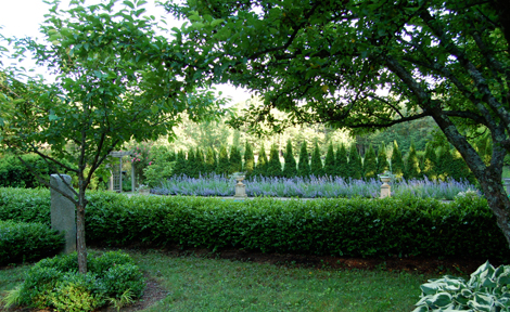 Juniper Hill: Hedge Layering