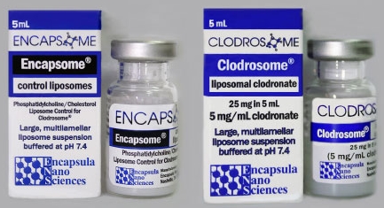 Get Your Dream Body: Amazing Therapeutic Breakthrough Of Clodronate ...