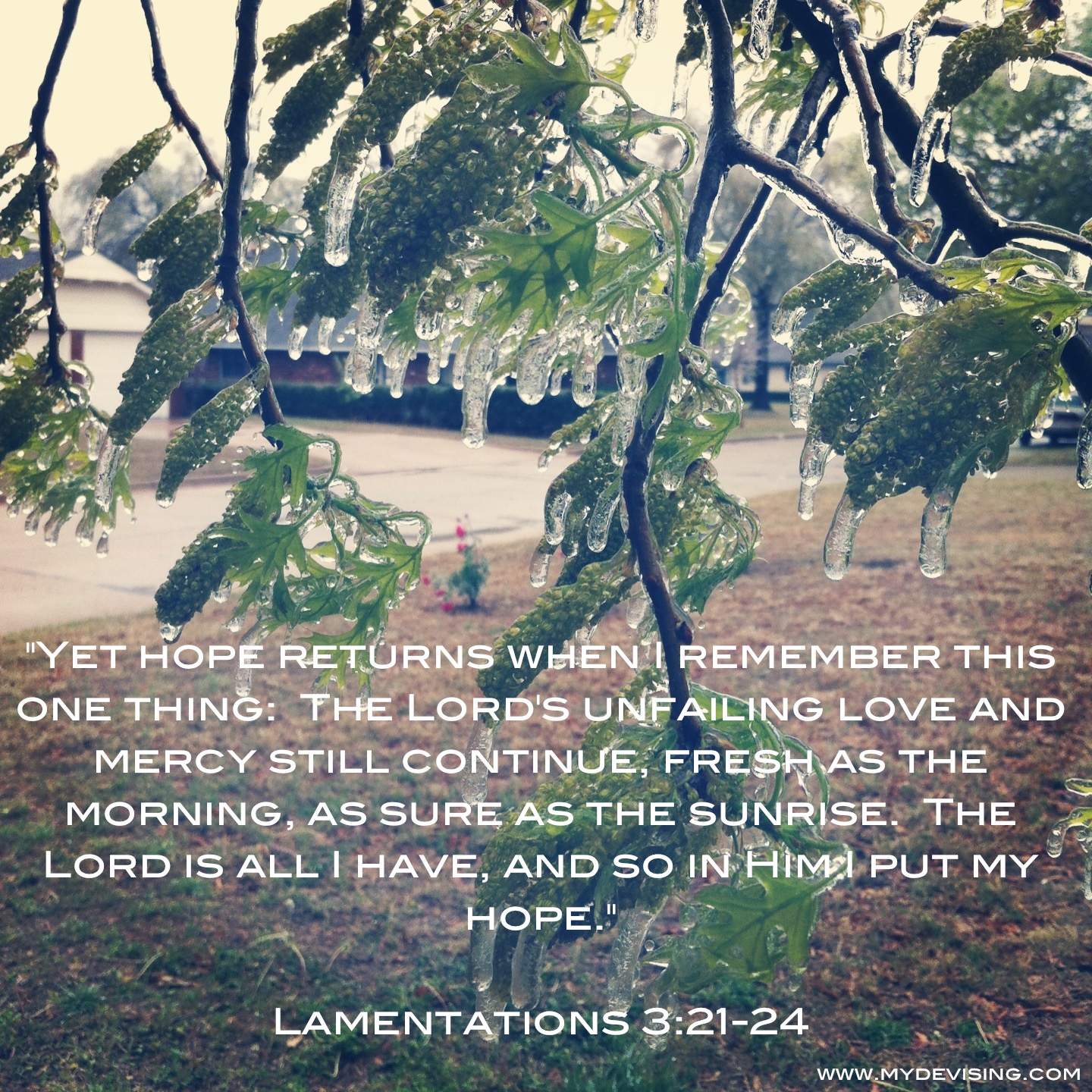 MY DEVISING: the hope of spring