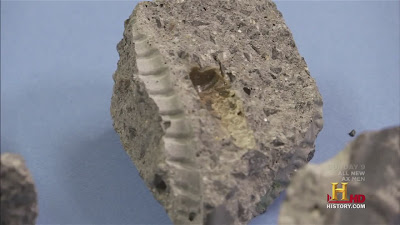 Maybach: Big Dig Ceiling Collapse