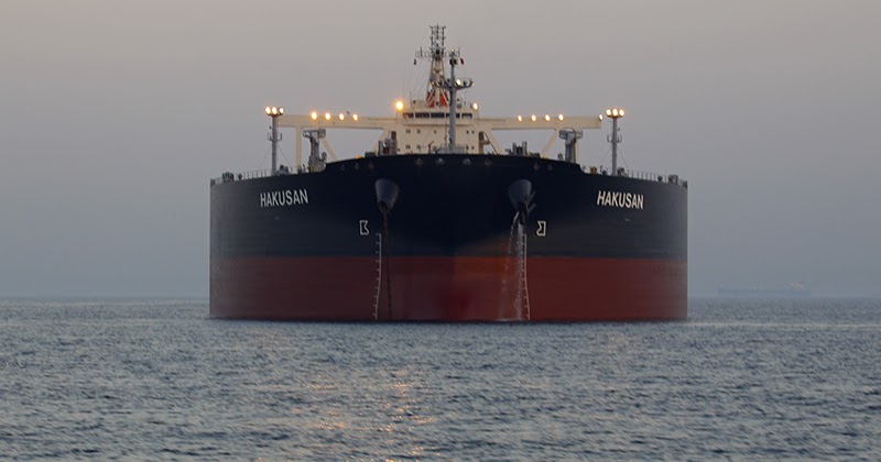 Kuwait Birding: An afternoon at Kubbar Island