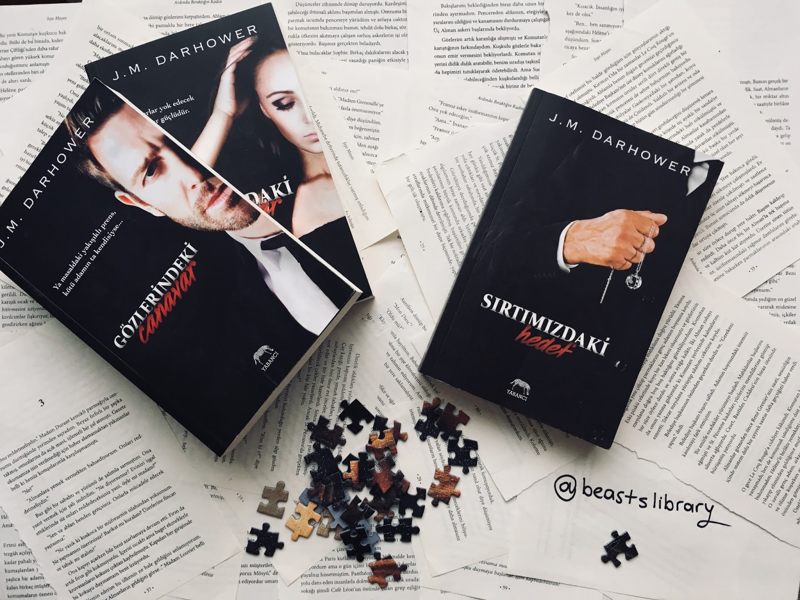 Sırtımızdaki Hedef Kitap Yorumu