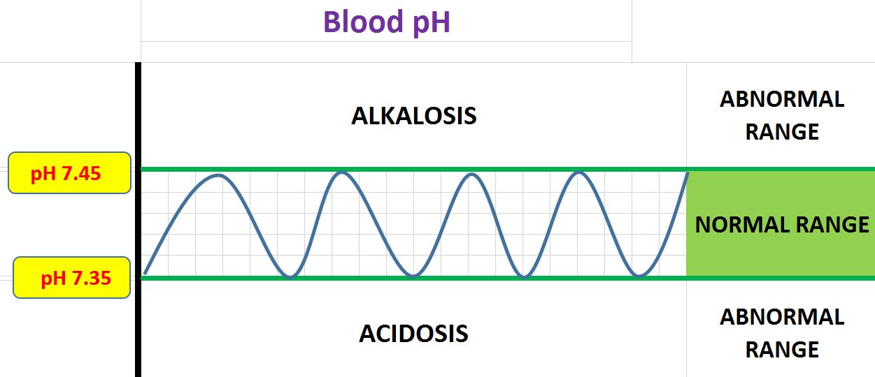 Fat Protein Carb's: Normal vs Abnormal