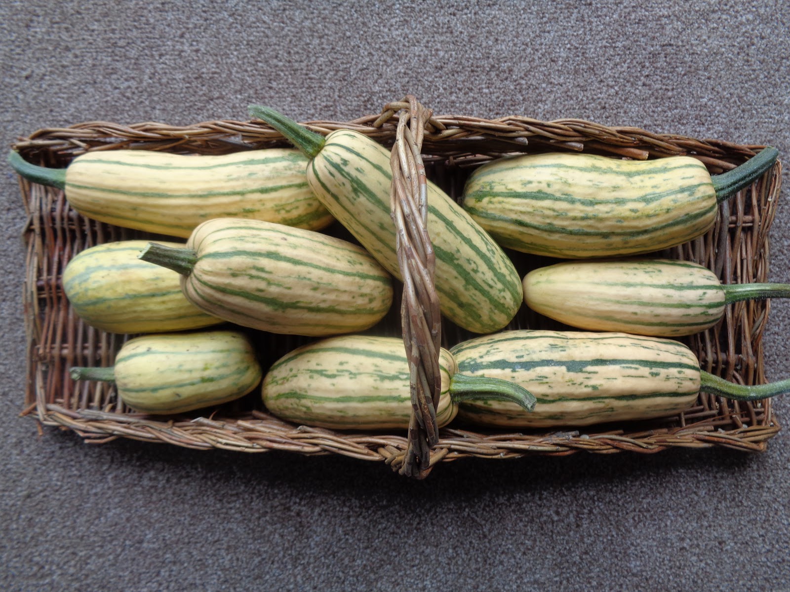 Best Honey Boat Delicata Squash Recipes!