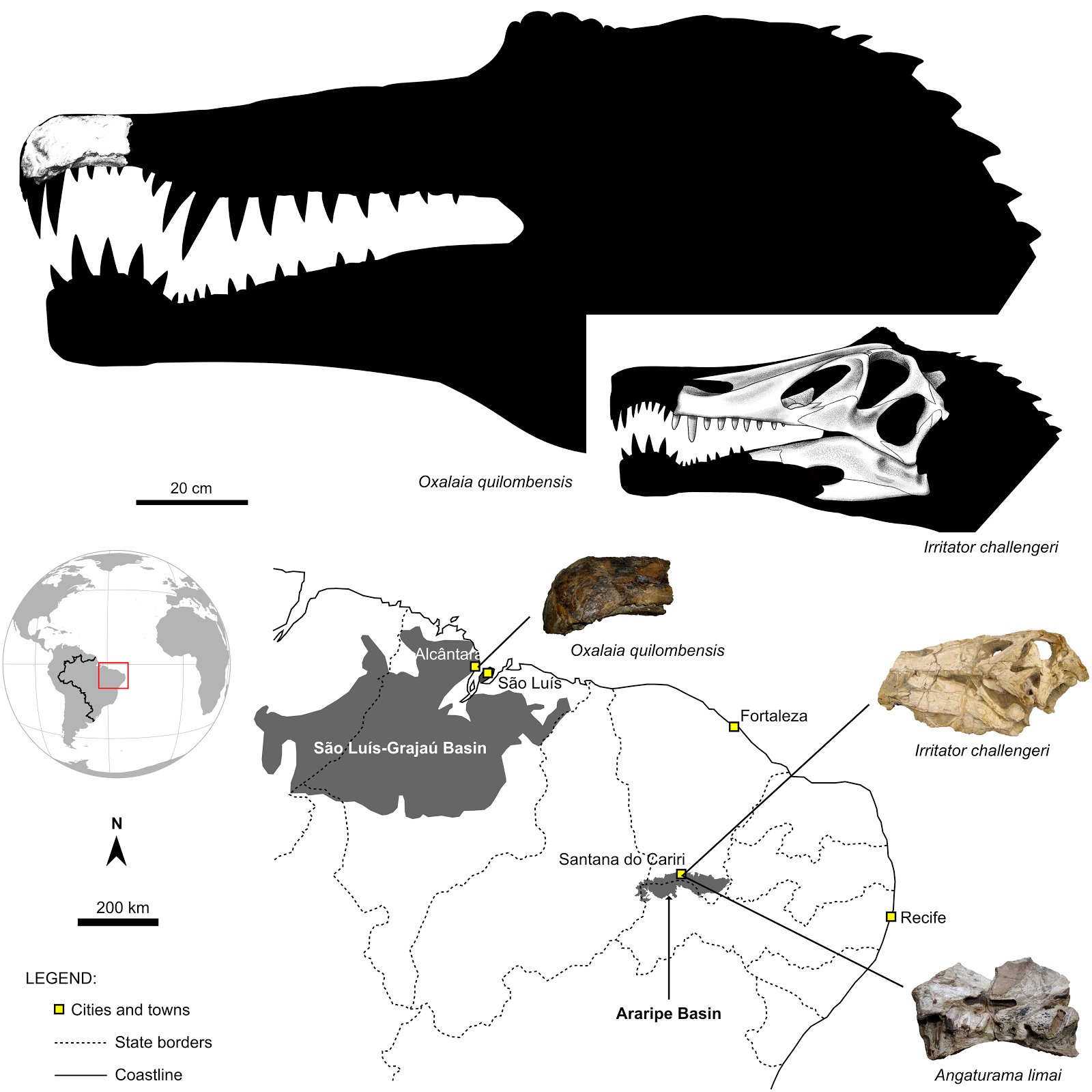 Species New to Science: [Paleontology • 2017] Spinosaur Taxonomy and ...