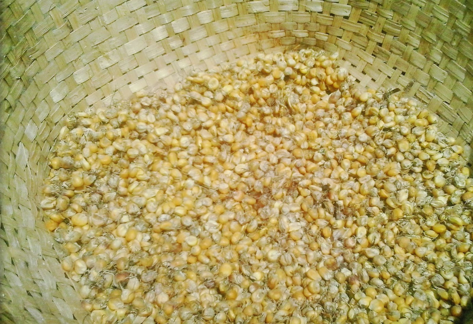 OLDJORA: Galería "OLD JORA"