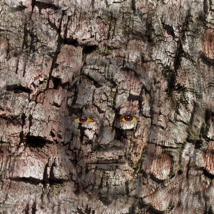 A blog by owen: tree man