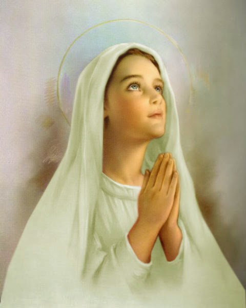 Santa María, Madre de Dios | In Sanctorum