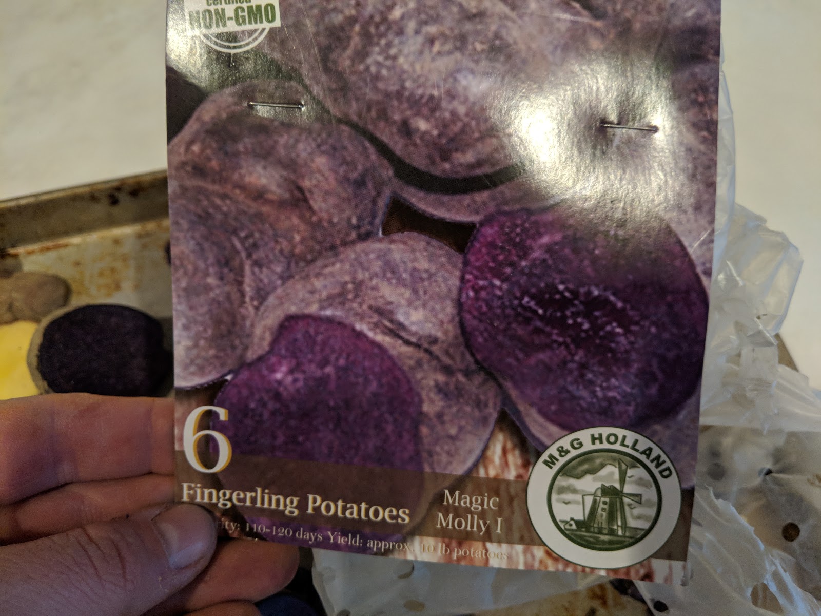 Two Fingerling Potato Varieties Planted - 2018