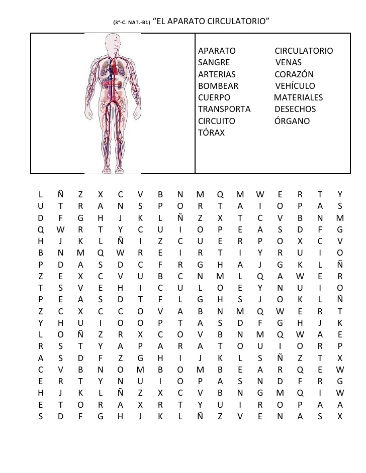 SISTEMA CIRCULATORIO: abril 2017
