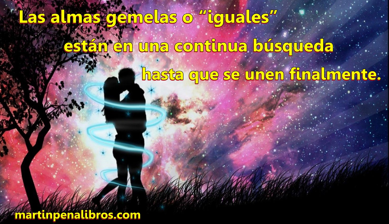 Martín Peña Libros: Las almas gemelas