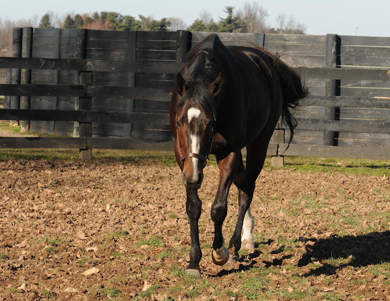 Two Minute Lick: Remembering Mighty Rachel