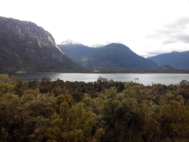 Curioseandando: Viaje a la Patagonia: del Parque Pumalín a La Junta (2 ...