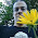 Fierce Dandelions: Why the Genpo Roshi Controversy Just Won't Go Away