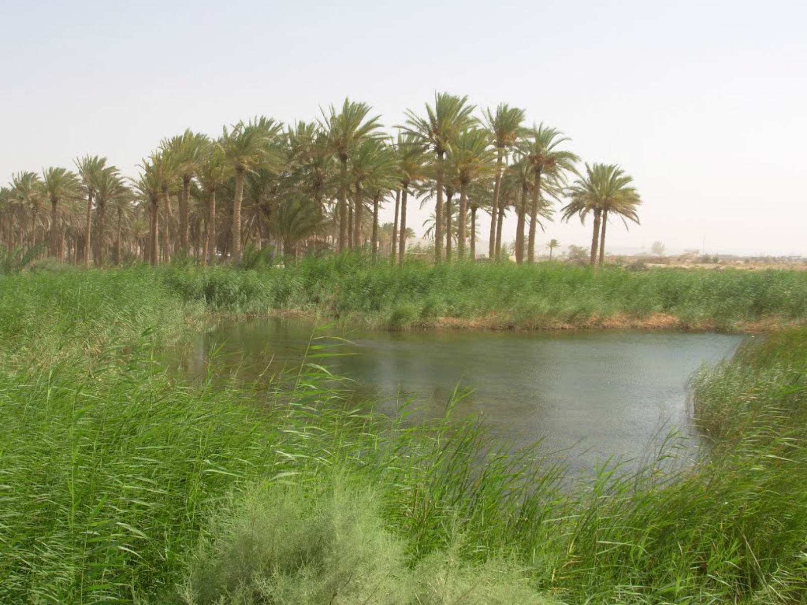 Geographic Travels: February 2013