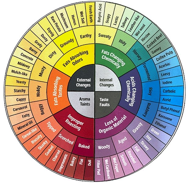 CAFÉ EL GATO BLUE: RUEDA DE SABORES Y GUSTOS DEL CAFÉ