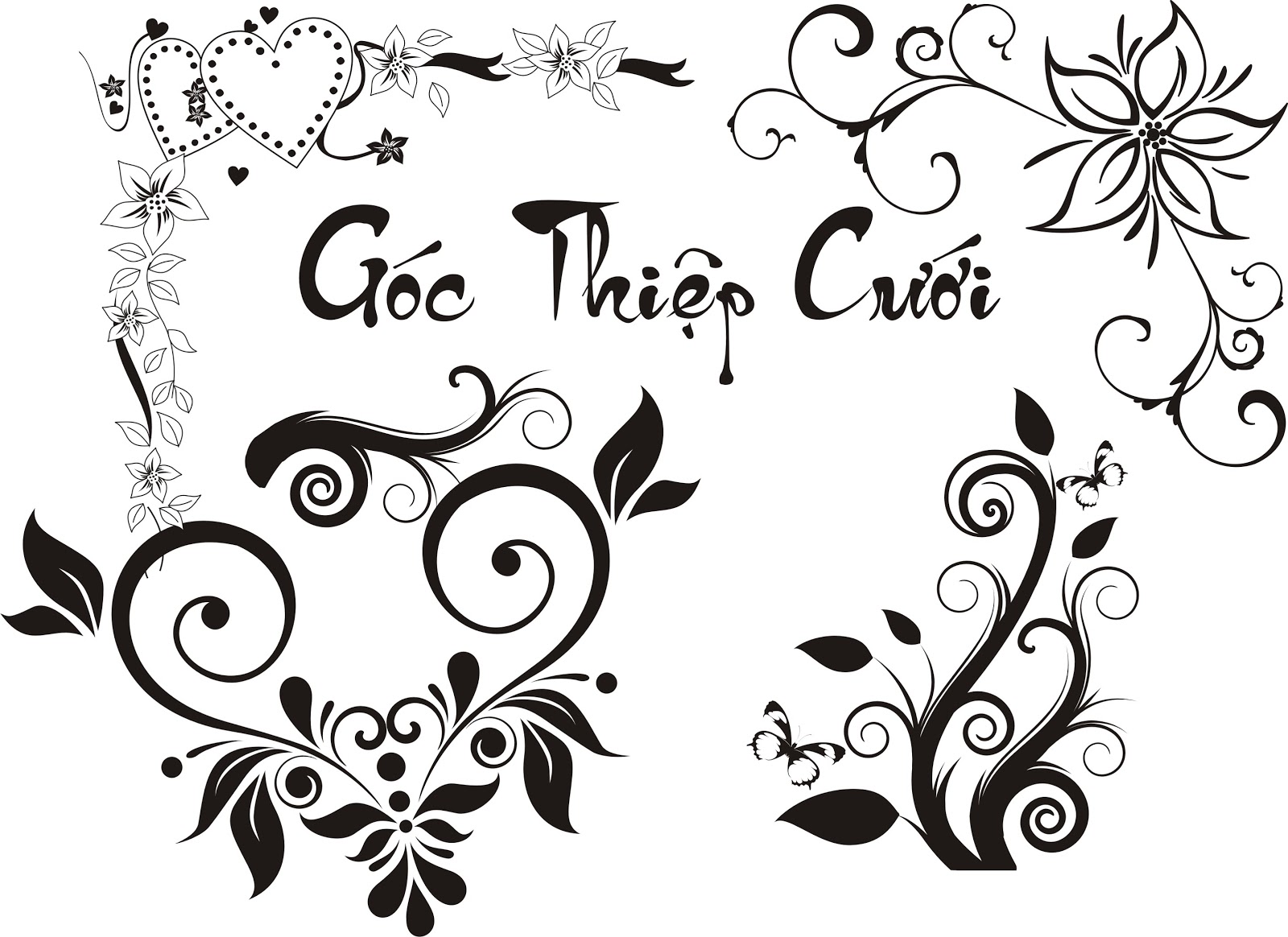 vietsinhvienit: hoa van vector