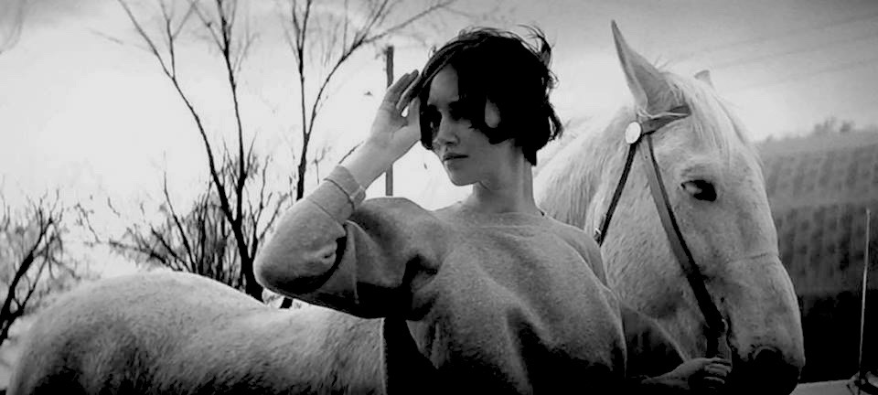 cult film freak: KILL OR BE KILLED: BRENDA CURRIN DOUBLE FEATURE INTERVIEW