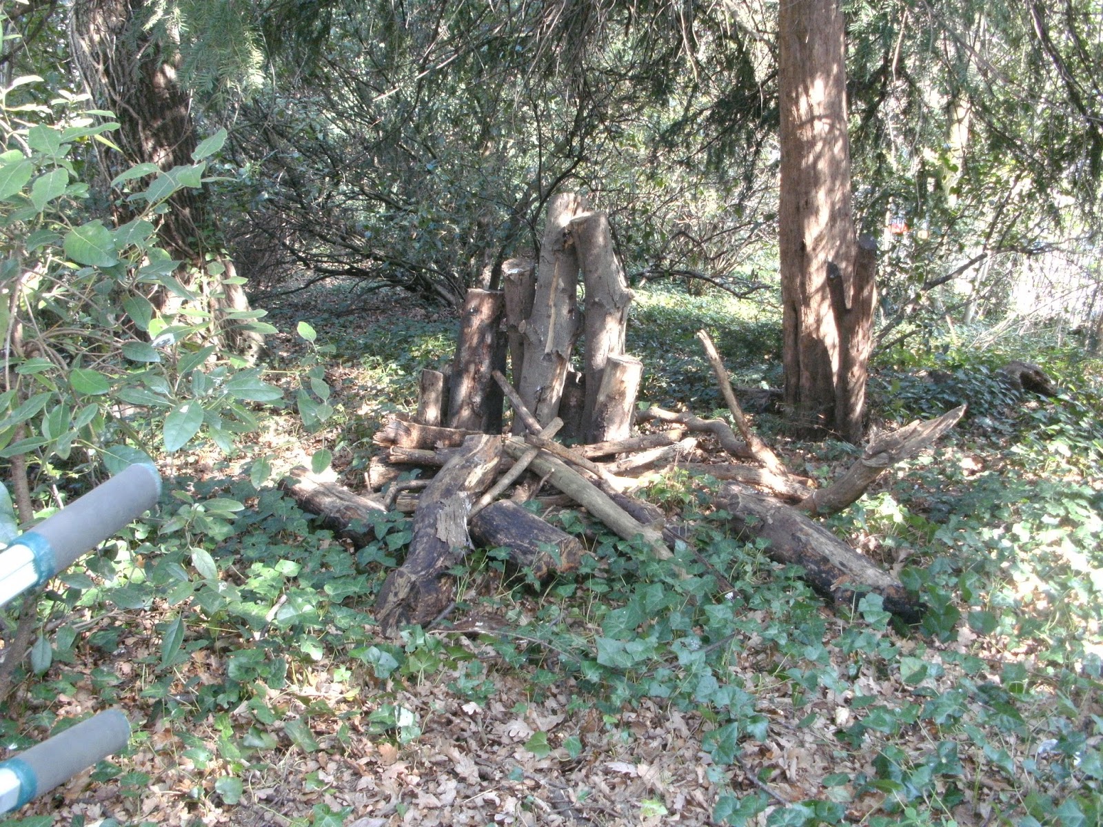 Friends of Mayow Park: April 2017