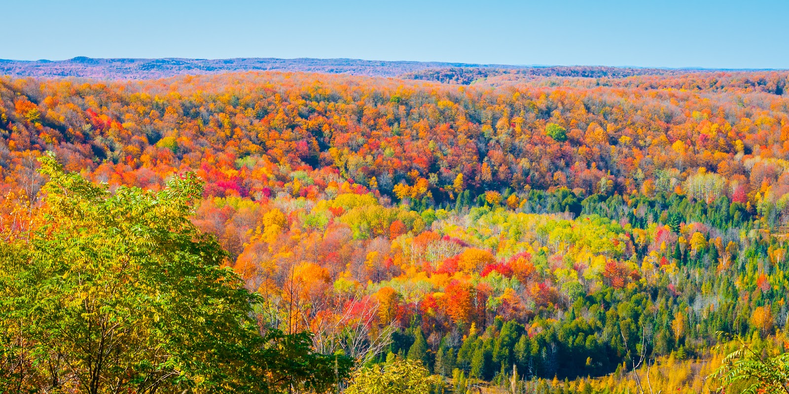 Steve Q Photo: Michigan Fall Color 2010 Day 1 & Day 2 Petoskey ...