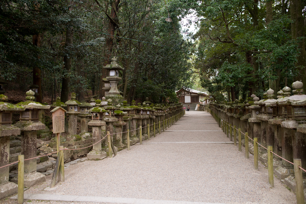 Photos by Busy B: japan day 9 -- nara: kasuga-taisha and kasuga-yama ...