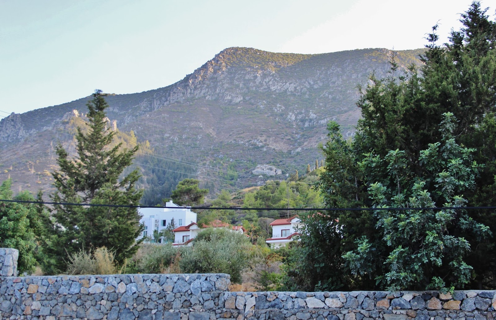 Biodiversity of Cyprus by NGO Protection of the Natural Heritage and ...