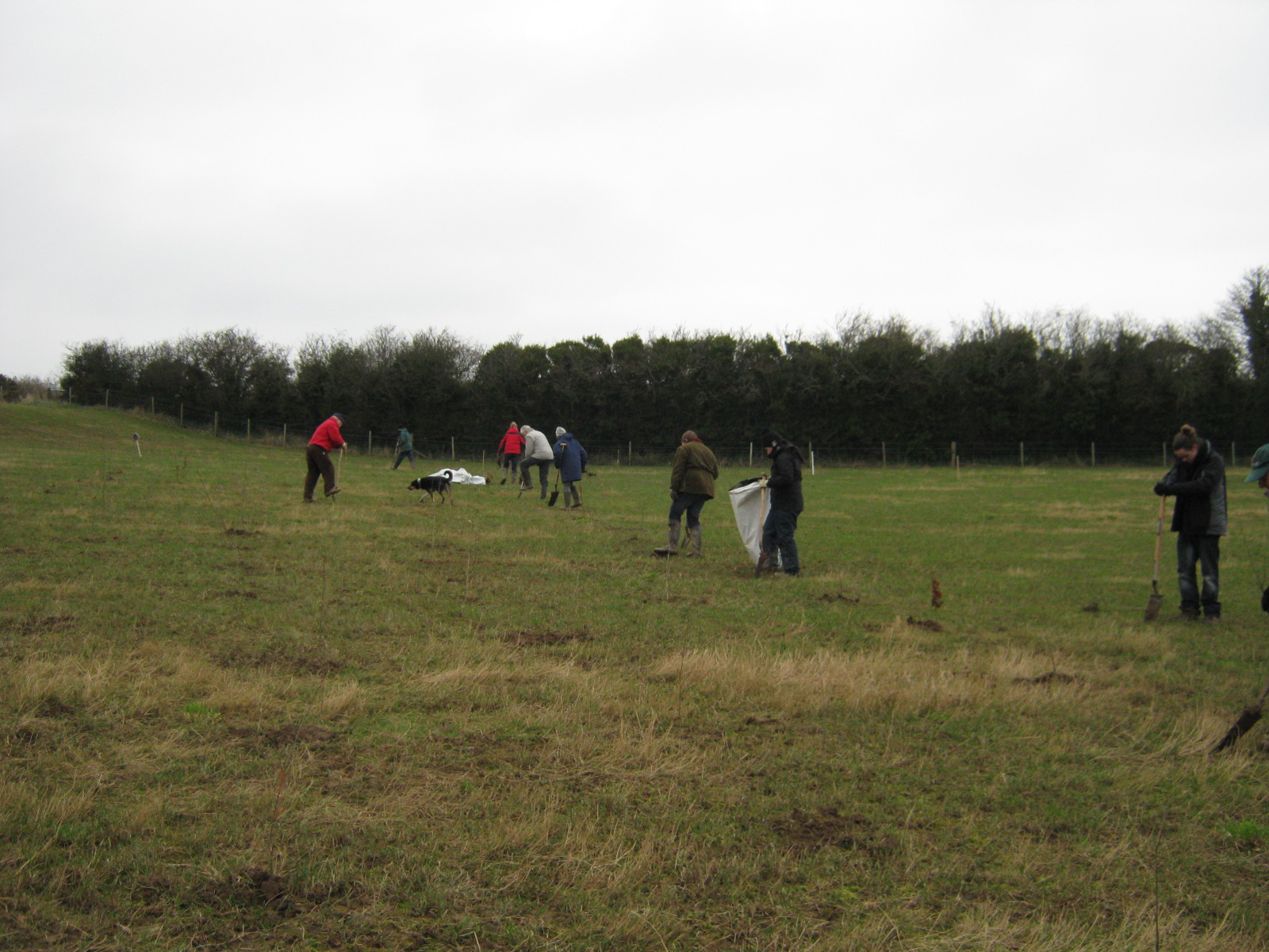 Lord Belmont in Northern Ireland: Tree-Planting