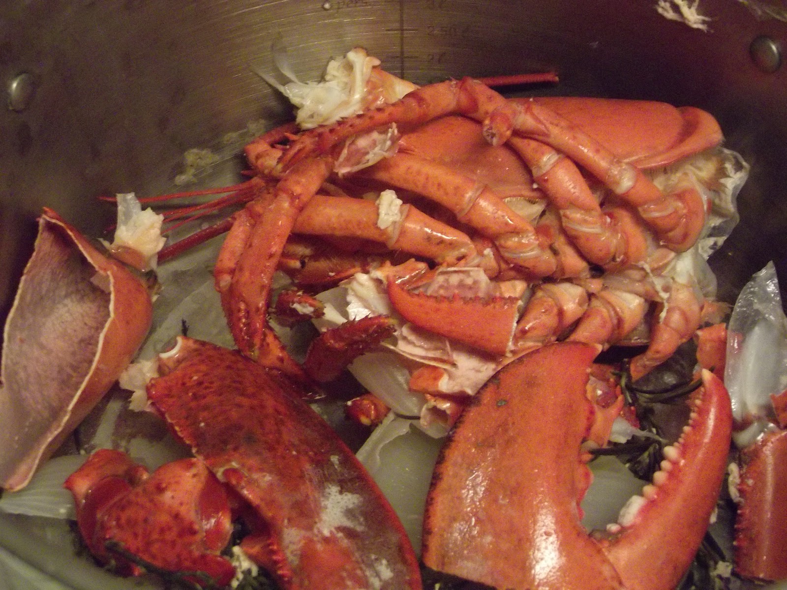 couleur salée: homard et sa mousse onctueuse à la bisque