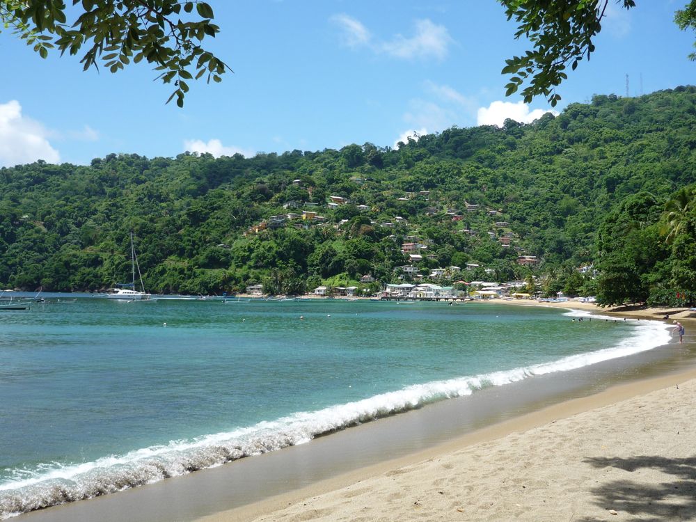 One Reef at a Time, in Charlotteville