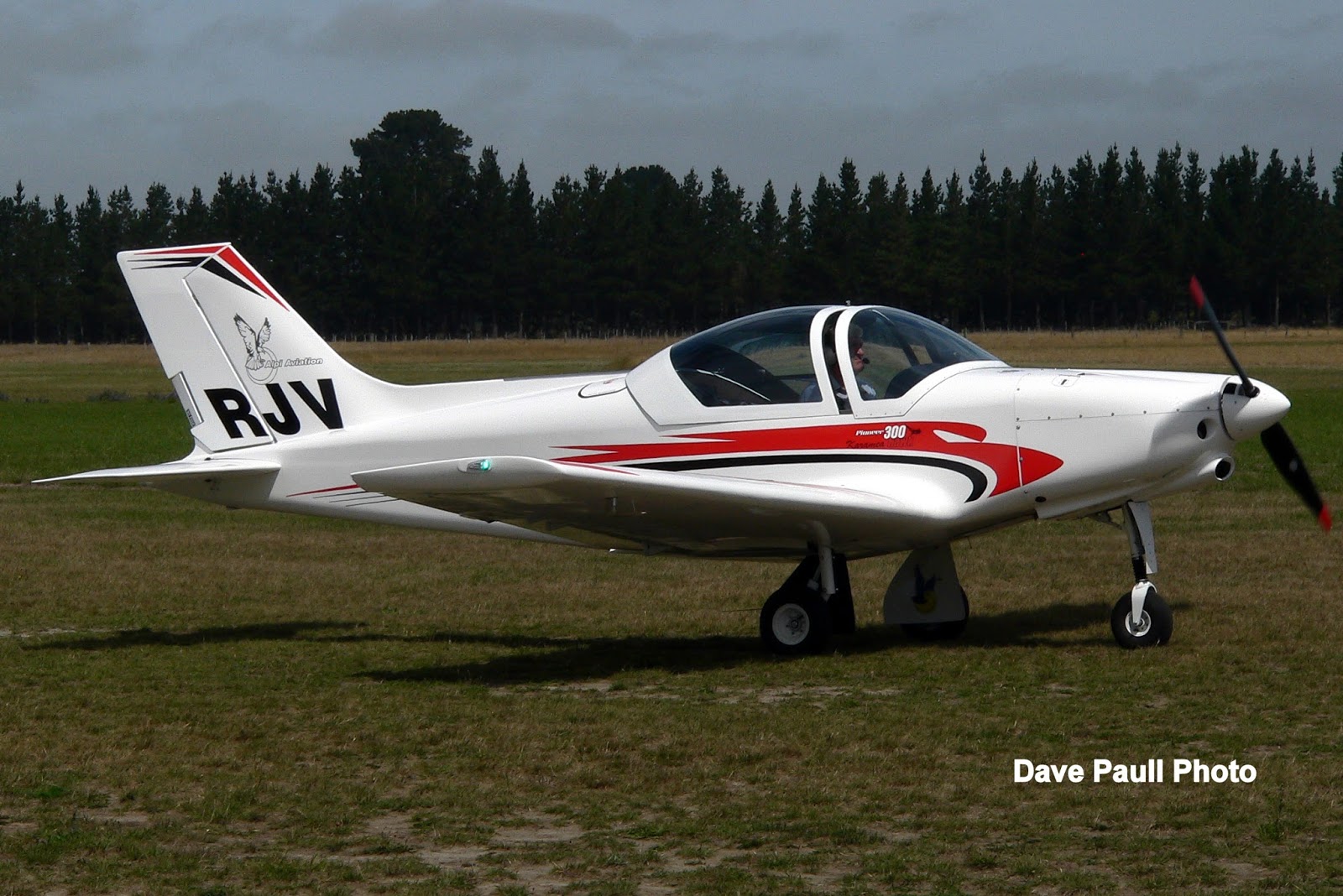 NZ Civil Aircraft: Alpi Aviation Pioneer 300s of New Zealand (4)