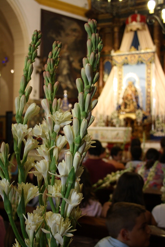 La zarabanda: El sueño de los nardos