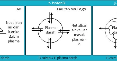 BUFFER DAN LARUTAN ISOTONIK