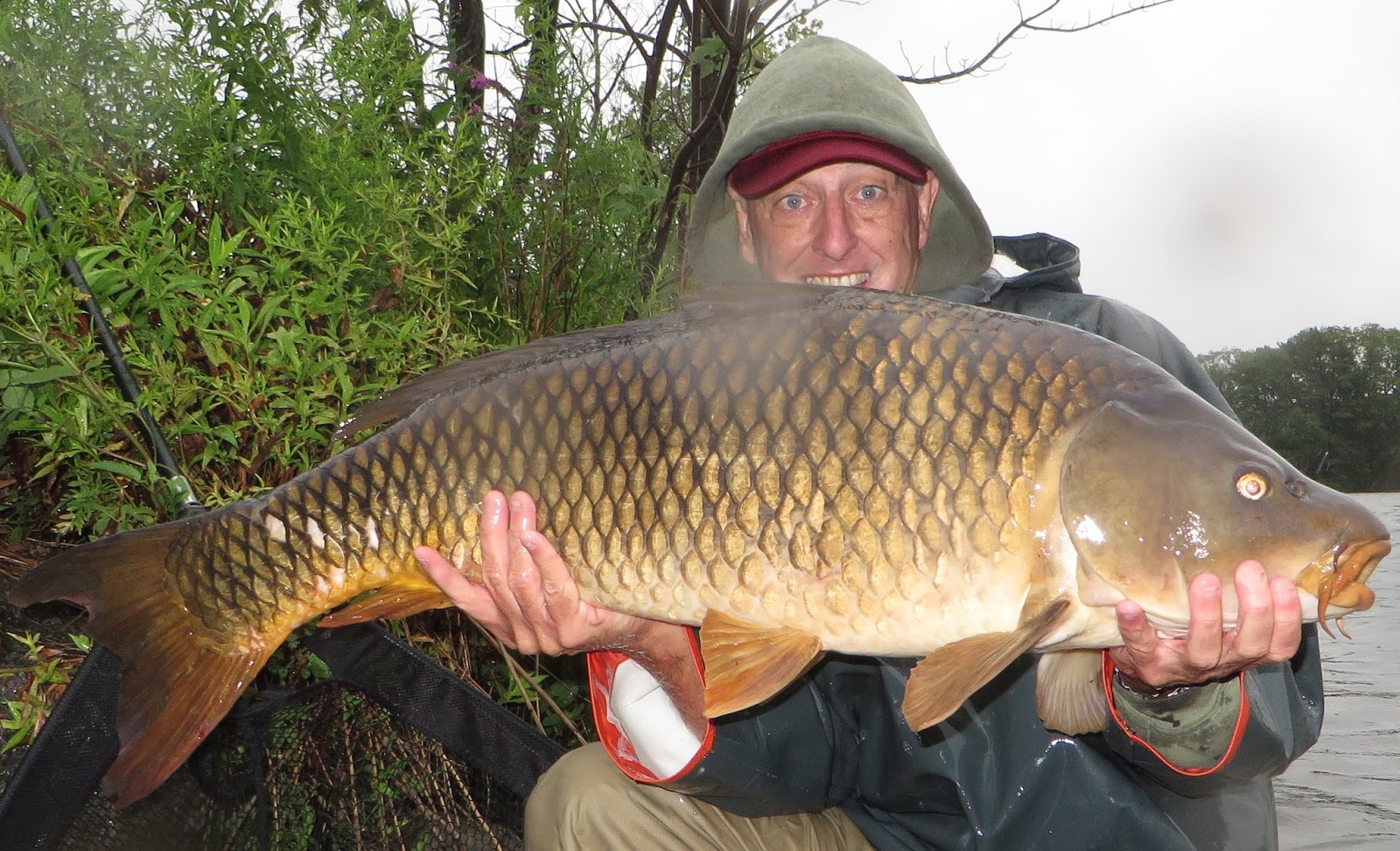 Rhode Island Carp Fishing: A Rare August Beast.......30 lbs., 4 oz.
