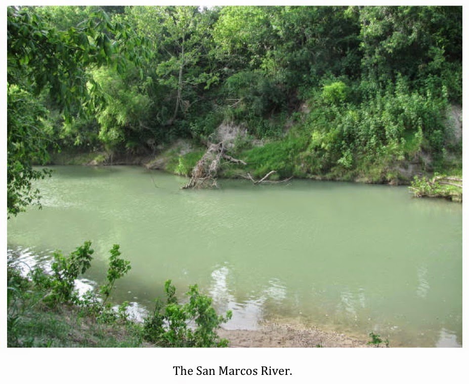 Texas Cryptid Hunter: Sasquatch Classics: The Ottine Thing