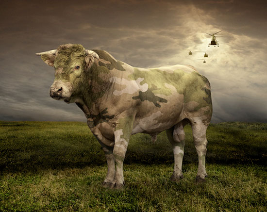 Top 50 Funny and Realistic Photo Manipulations photoshop - Art Design Way