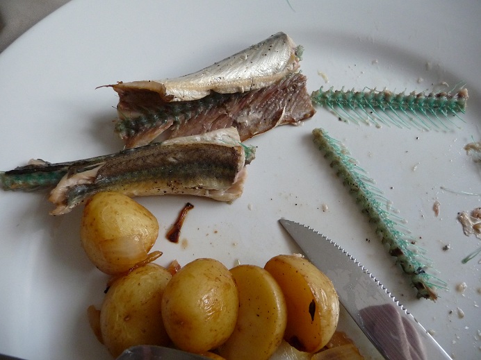 Matt's Food: Garfish