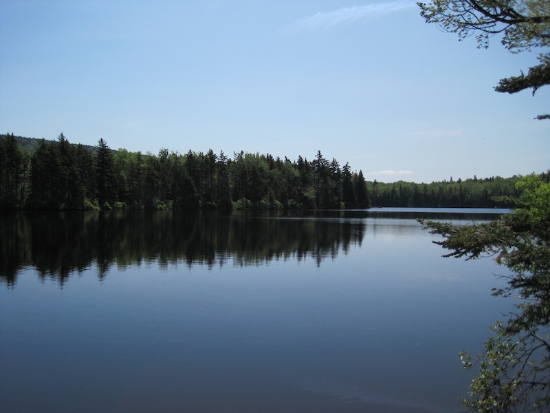 Griffith Lake - Alchetron, The Free Social Encyclopedia
