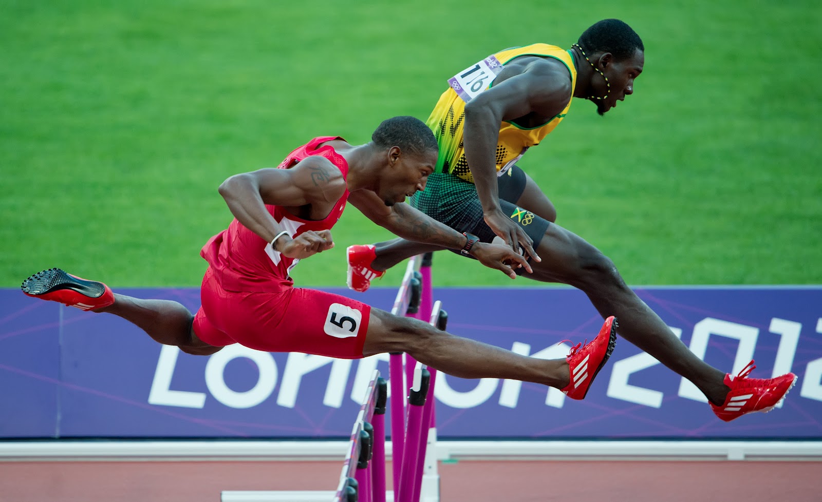 Blog Archives - gangrutor