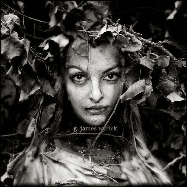 Vermont Dead Line: Spotlight: Gregory James Wyrick